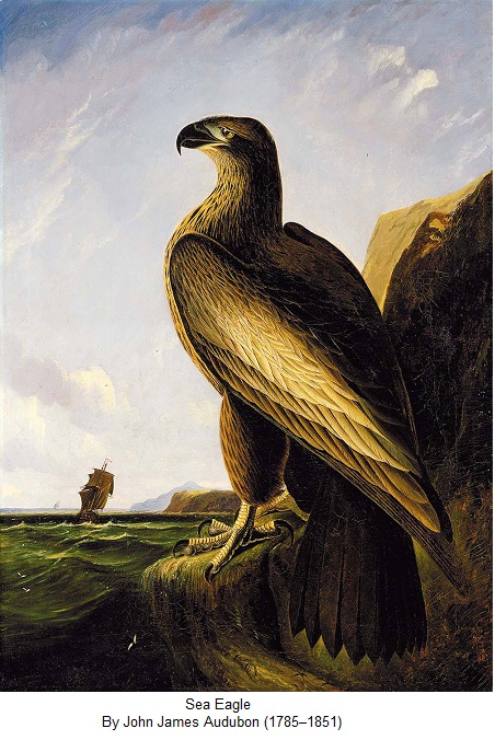 Ezekiel 16-17 A great eagle with great wings and long pinions, came to ...